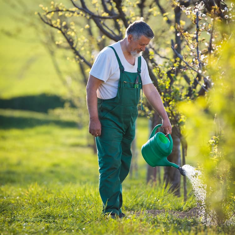 Gardening Checklist - 34 tasks | Free App | PDF | Printable
